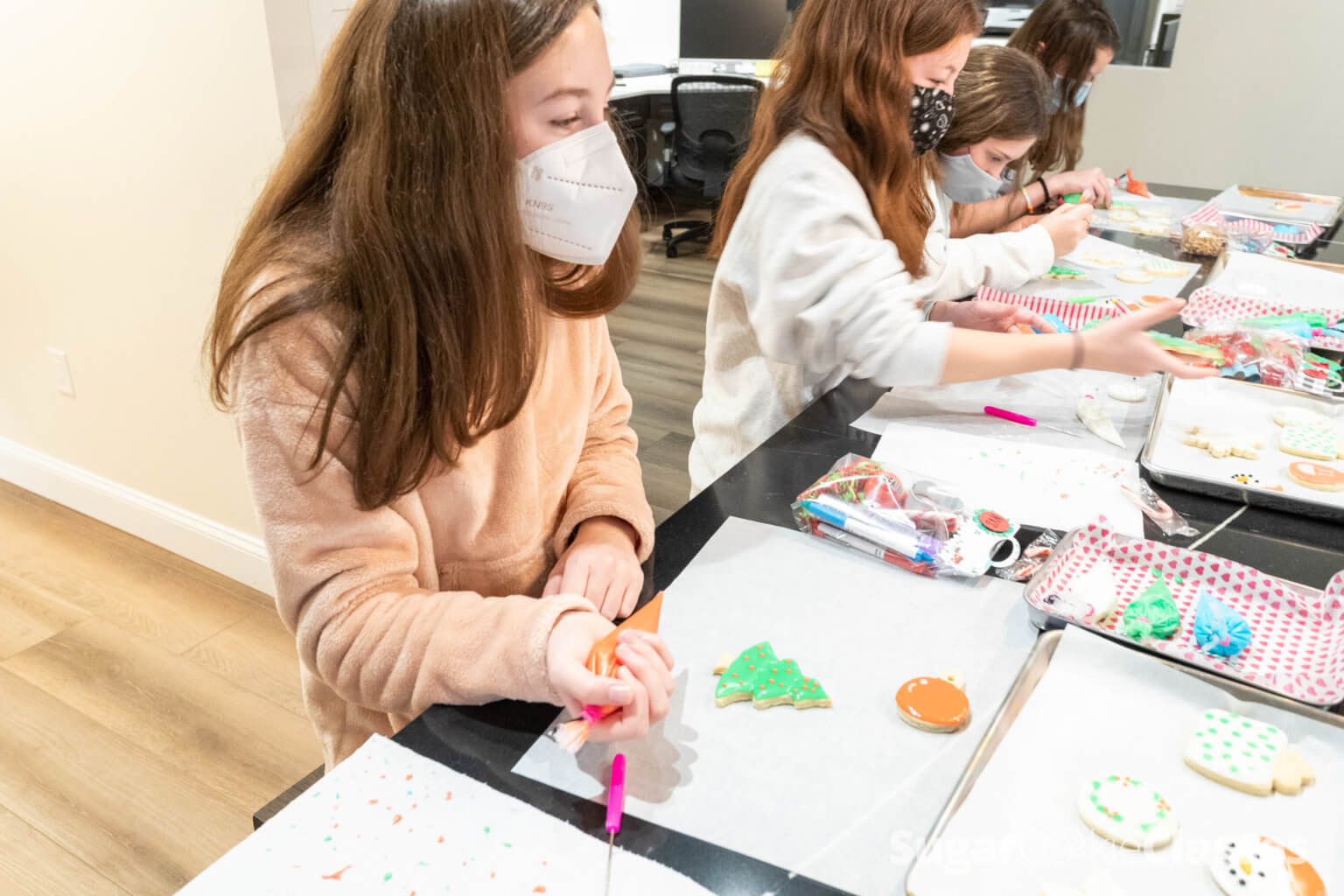 Sugar Cookie Classes – a Northern Virginia Sugar Cookie Decorating Class